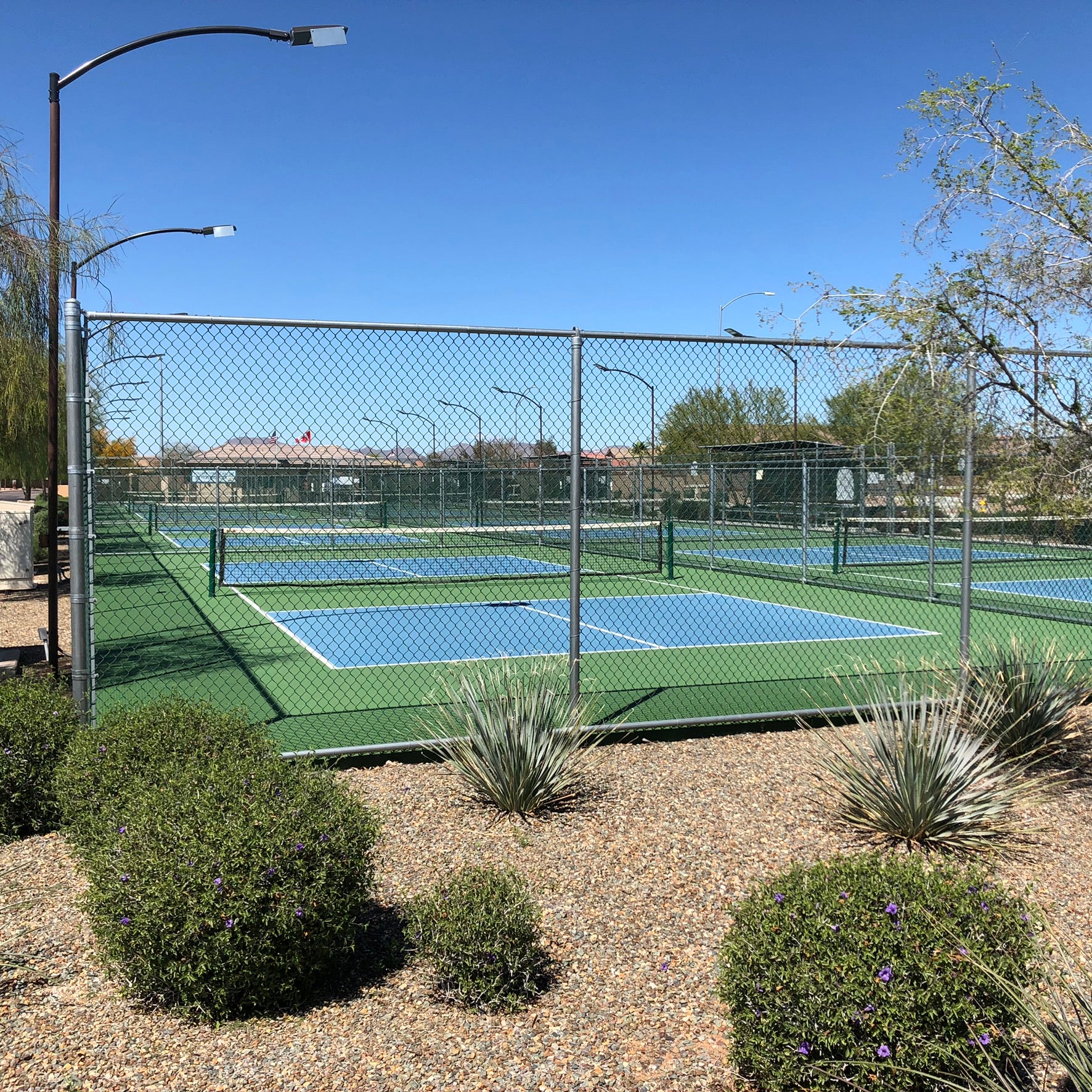 pickleball monterey card, cool unusual gifts for kids